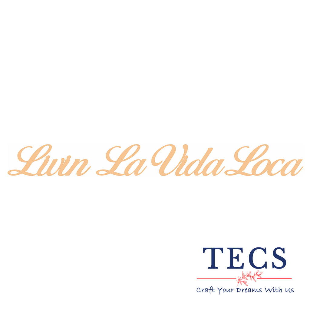 Livin La Vida Loca - Livin' the Crazy Life – Handilane